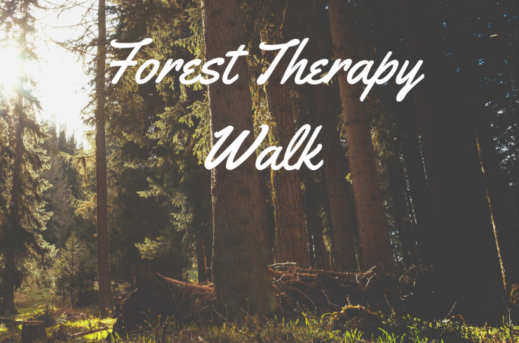 What's On | Latrobe City Council