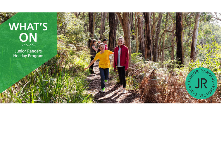 Junior Ranger School Holiday Program - Tarra-Bulga National Park ...